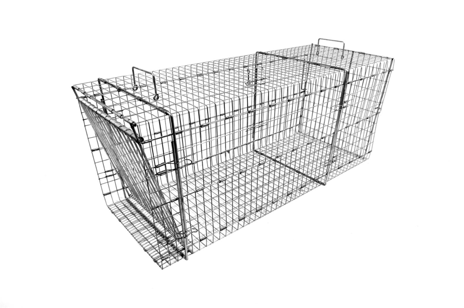 Live Capture Chicken Folding Trap | Nixalite