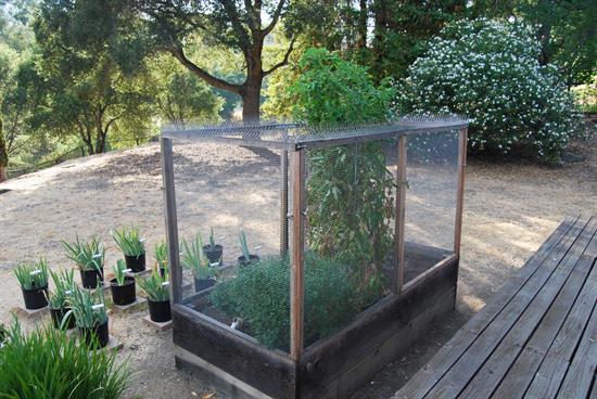 Sept ’18 Photo Contest Winners – Feathered Insights: Nixalite’s ...