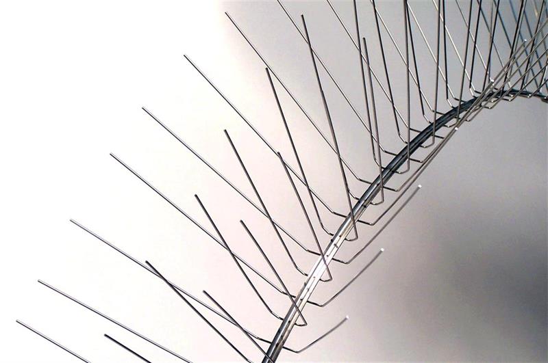 E-Spike Full Row Bird Spikes | Nixalite