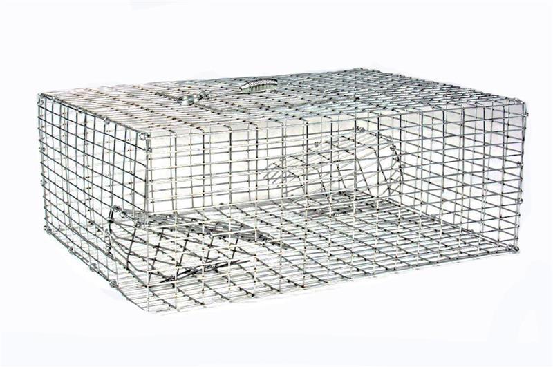 Small Repeating Sparrow Trap 16x12x6 | Nixalite