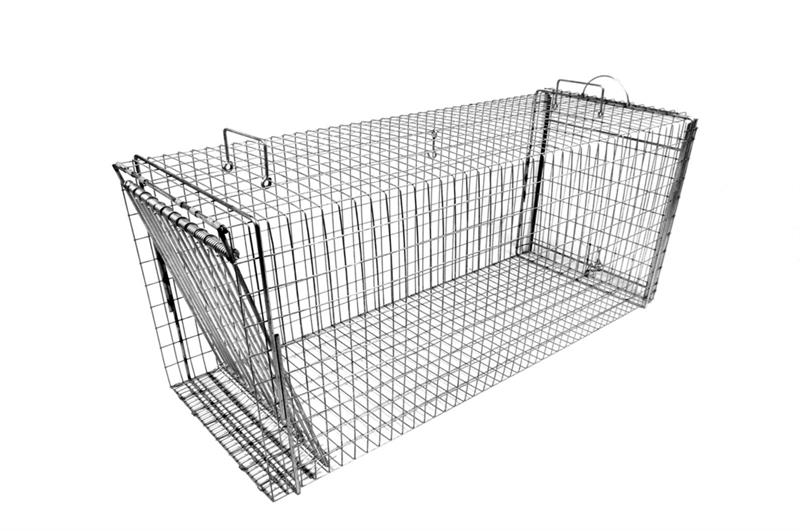 Live Capture Chicken Trap | Nixalite